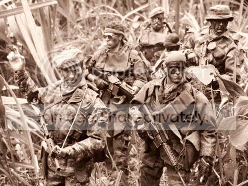 navy seal team vietnam | One Sixth Warriors Forum