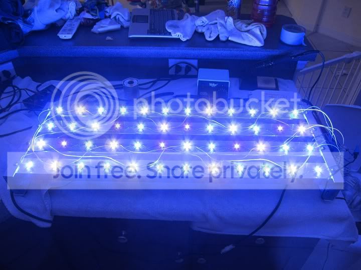 DIY 48 LED RapidLed 40G Breeder Build - Reef Central Online Community