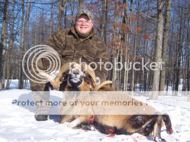 Boar Hunting? | Michigan Sportsman Forum