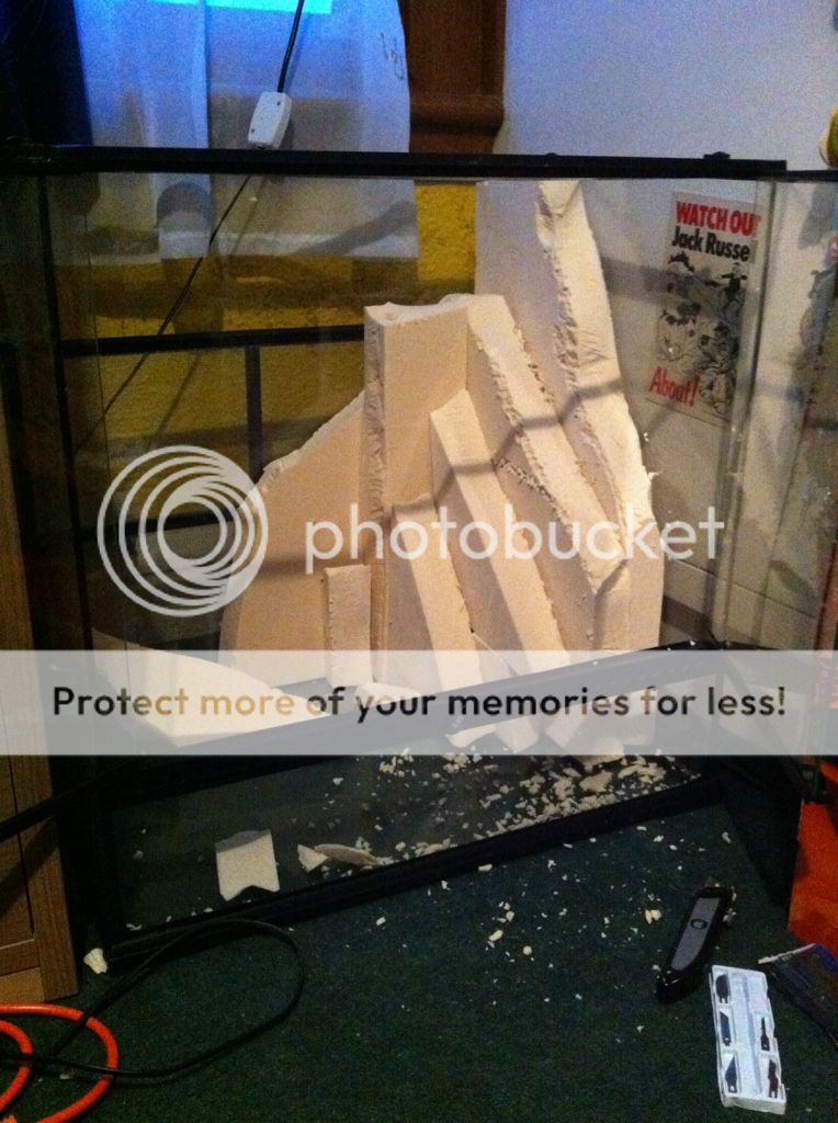 Custom Tiki Viv | Reptile Forums