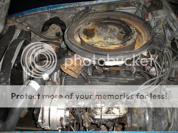 Paging Jim Shea | Corvette Forum : DigitalCorvettes.com Corvette Forums