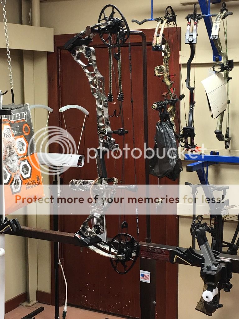 Let's see them Halon 32's!!! | Page 3 | Archery Talk Forum